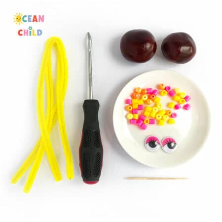 How to Make a Chestnut Spider, Halloween Craft Idea for Kids - Ocean ...