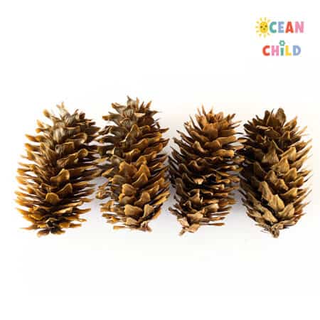 How to Make a Pinecone Squirrel with a Paper Roll (Easy Kids Craft ...