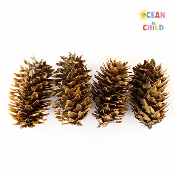 How to Make a Pinecone Squirrel with a Paper Roll (Easy Kids Craft ...