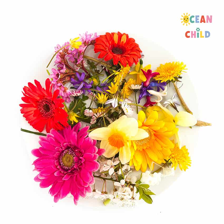 Cute hedgehog craft decorated with spring flowers! - Ocean Child Crafts